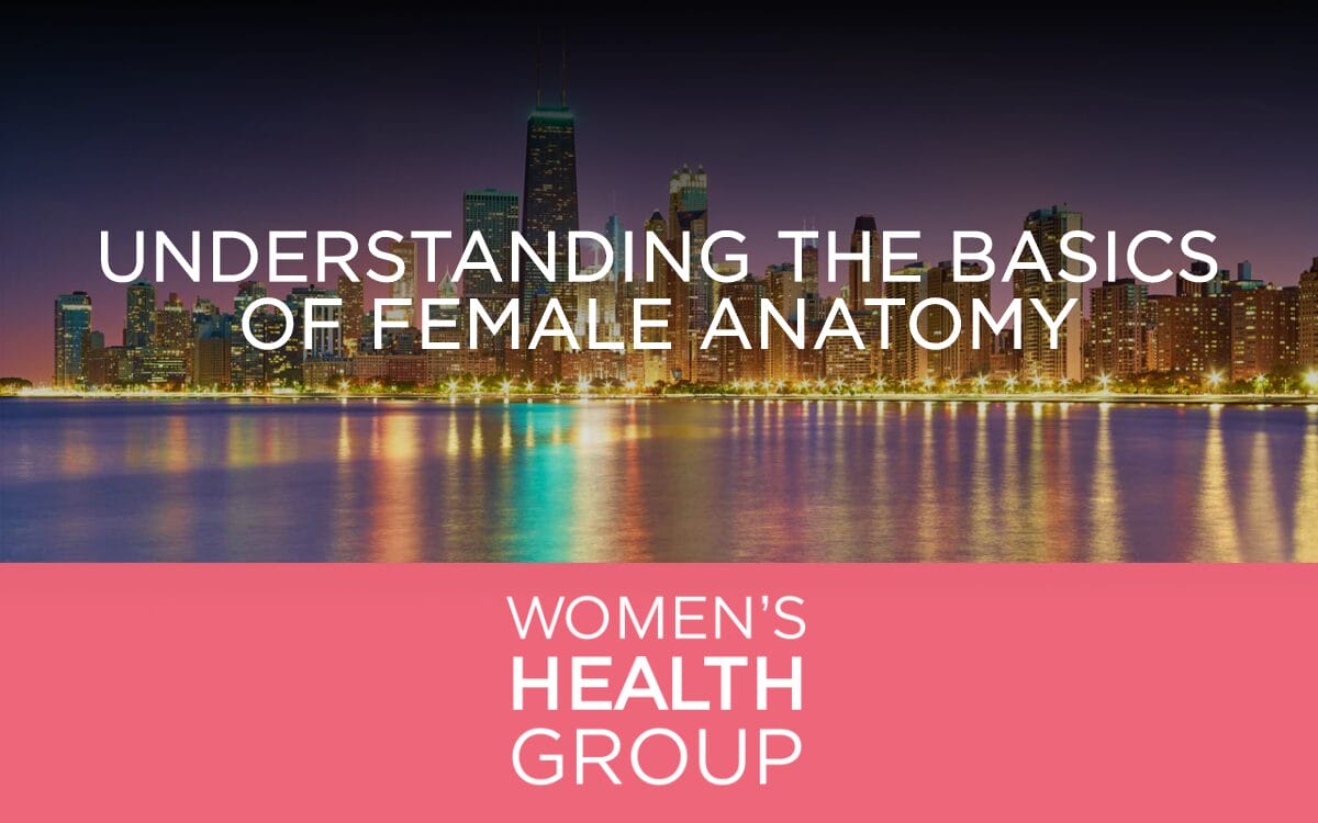 Understanding The Basics Of Female Anatomy - Women's Health Group Chicago